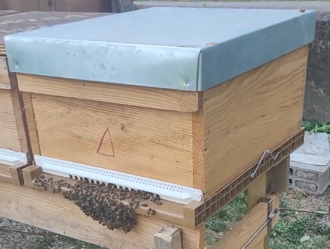 Les différents types de ruche - Abeille-apiculture.fr